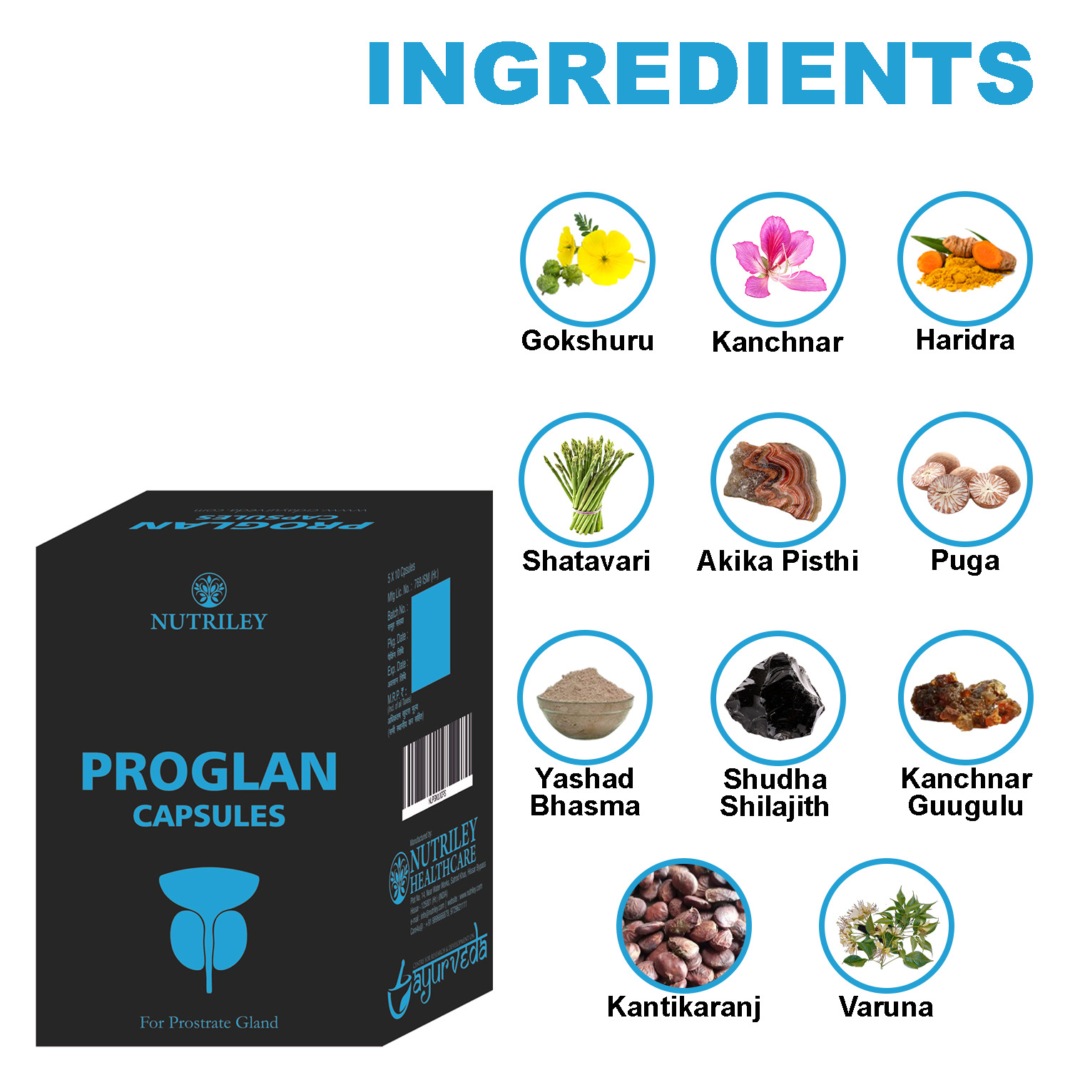 CRD Ayurveda Proglan – Prostate Gland Capsules (50 Capsules) – CRD Ayurveda